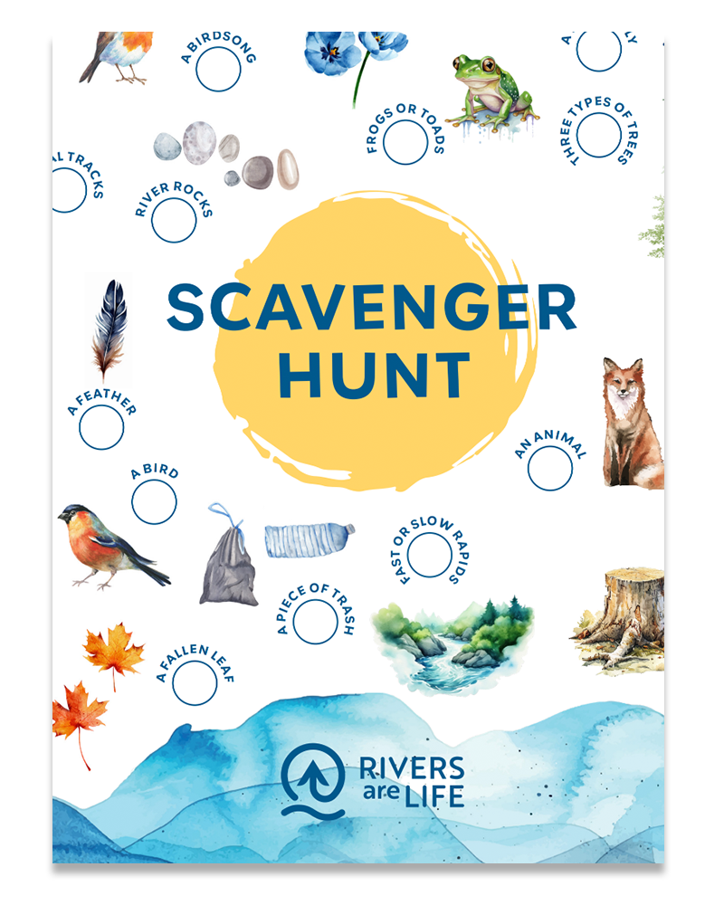 Grizzly Scavenger Hunt